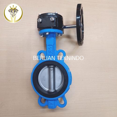 Jual 1-1/2" inch Butterfly Valve Gear Cast Iron EPDM Disc Stainless ...