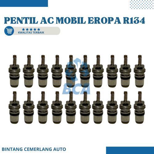 Jual Pentil AC R134 Mobil Eropa - Jakarta Timur - Tukang AC Mobil ...