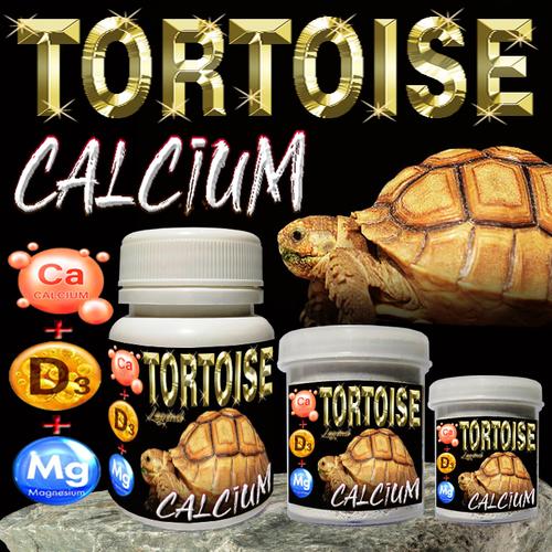 Promo TORTOISE CALCIUM + VITAMIN D3 KALSIUM BUBUK POWDER REPTILE TORTO ...