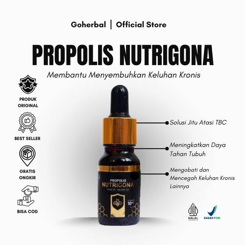 Jual Propolis Nutrigona Asli Obat Batuk, TBC, Sinuitis, Sesak, Asma ...