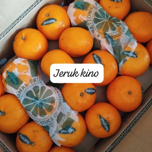 Jual Jeruk Kino manis segar 1kg - Kab. Tangerang - Toko Winatalia ...