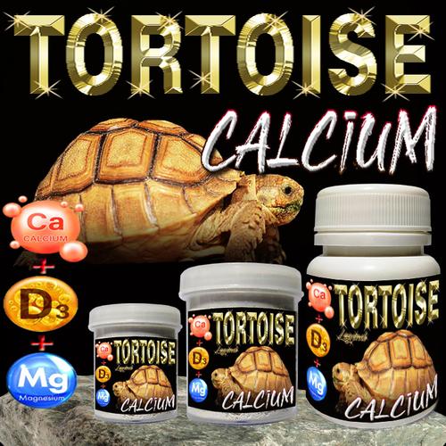 Promo TORTOISE KALSIUM BUBUK +D3 CALCIUM POWDER REPTILE SUPLEMEN ...