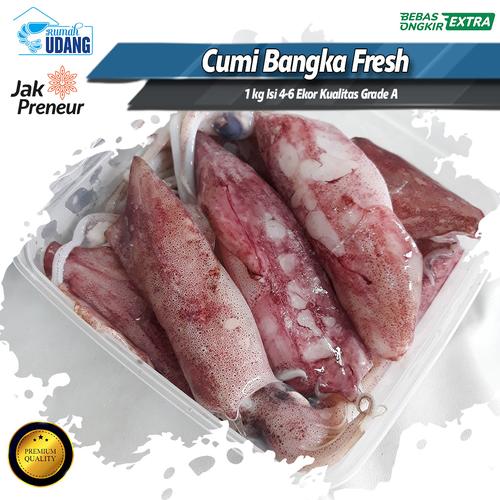 Jual CUMI BANGKA PREMIUM /Cumi Segar Bangka /Cumi Bangka Besar Jumbo ...