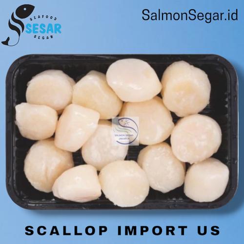 Jual Scallop US / Kerang Kampak / Kerang Simping Jumbo / Scalop USA ...