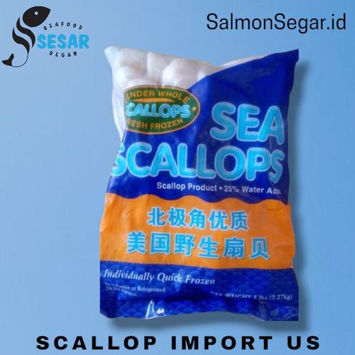Jual SCALLOP USA / SCALOP PREMIUM / 2.27kg / KERANG KAMPAK - Jakarta ...