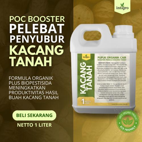 Jual Pupuk Kacang Tanah / Pupuk Booster Pelebat Kacang Tanah Pupuk ...