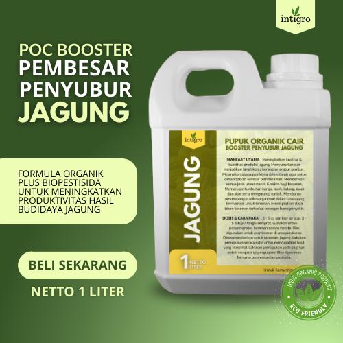 Jual Pupuk Jagung Cair Organik Booster Penyubur Tanaman Jagung Pembesar ...