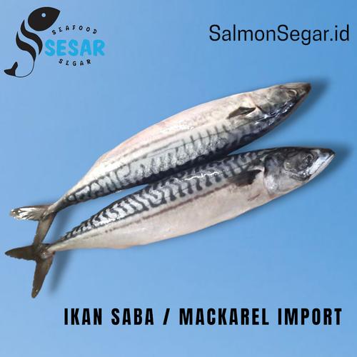 Jual Ikan Saba Jepang - Saba Mackarel 900 gram - Isi 1 Ekor - Jakarta ...