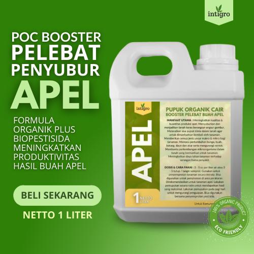 Jual Pupuk Organik Cair Booster Terbaik Pelebat Buah Apel Penyubur ...