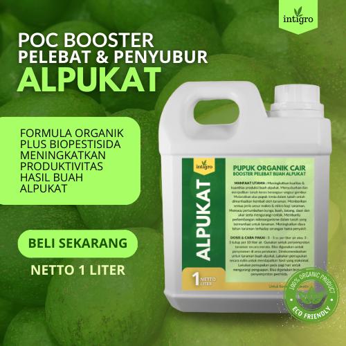 Jual Pupuk Organik Cair Booster Terbaik Pelebat Buah Alpukat Cepat ...