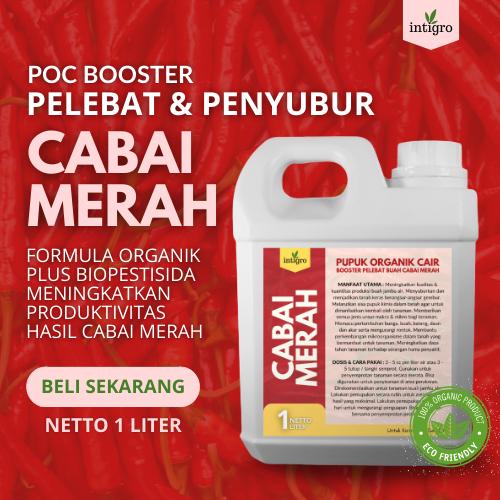 Jual Pupuk Pelebat Cabe / Pupuk Cabe Merah / Pupuk Cabai Organik / Pupuk Organik Cair Booster ...