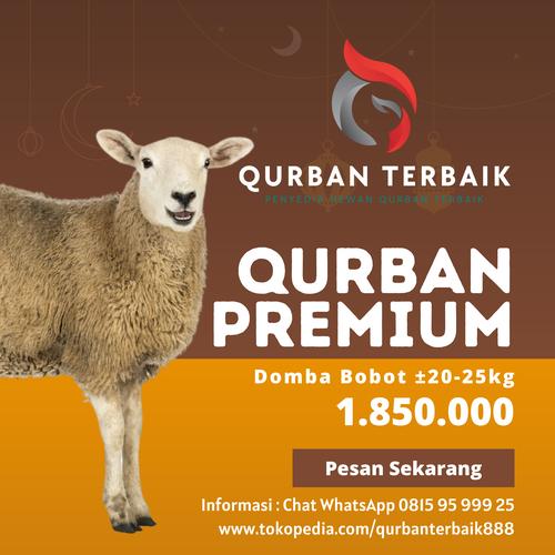 Jual Domba Qurban - Sebar Qurban Premium - Jakarta Pusat - Qurban ...