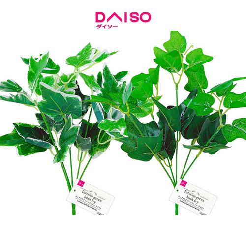 Jual Daiso Interior green bush Ivy - Variagated - Jakarta Selatan ...