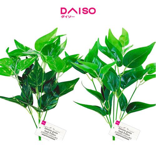 Jual Daiso Interior green bush Pothos - Non-variagated - Jakarta ...