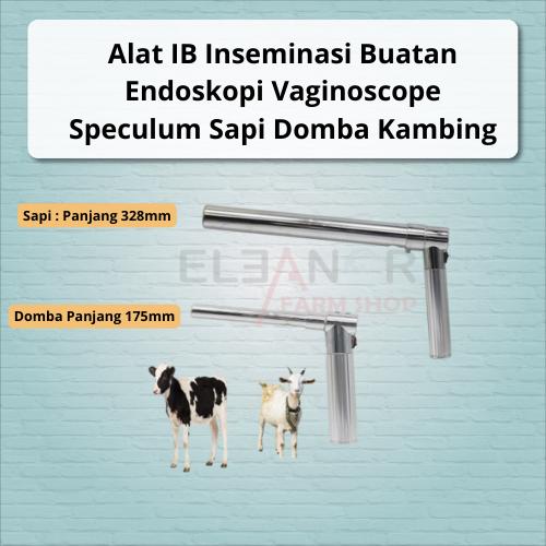 Jual Endoskopi Inseminasi Buatan IB Speculum Domba Sapi Kambing - Kambing - Kab. Madiun ...