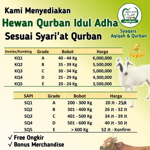 Jual Hewan Qurban Kambing | Domba | Domba Qurban | Kambing Qurban Syar ...