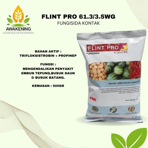 Jual FLINT PRO 61.3/3.5WG 500GR FUNGISIDA (spelialis busuk daun dan busuk batang) - Kab ...