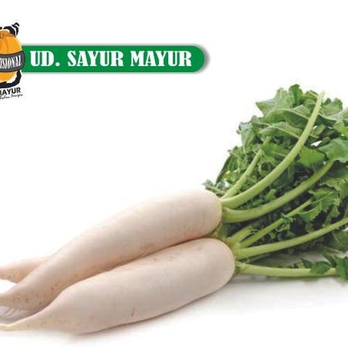 Jual lobak putih - 1 kg - Kota Denpasar - UD Sayur Mayur Bali | Tokopedia