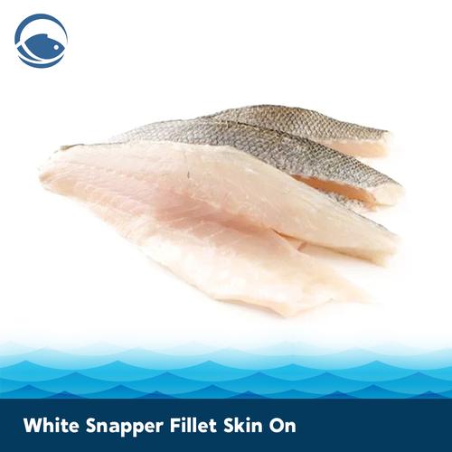 Jual Ikan White Snapper Fillet Skin On Kakap Putih Wild Caught Fish ...