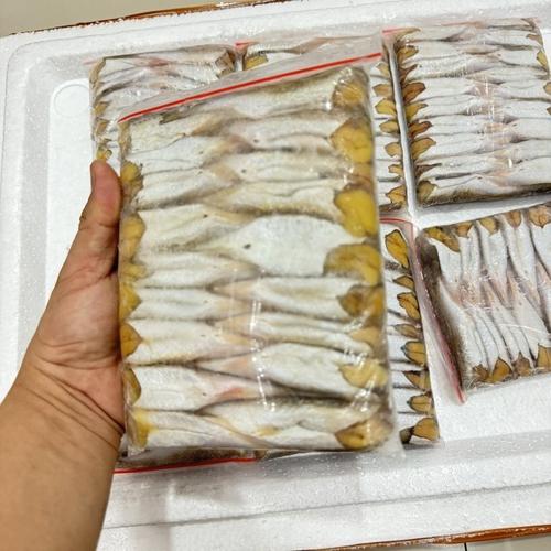 Jual Ikan Belanak full telor / Blanak potong bersih kemasan 500gr ...