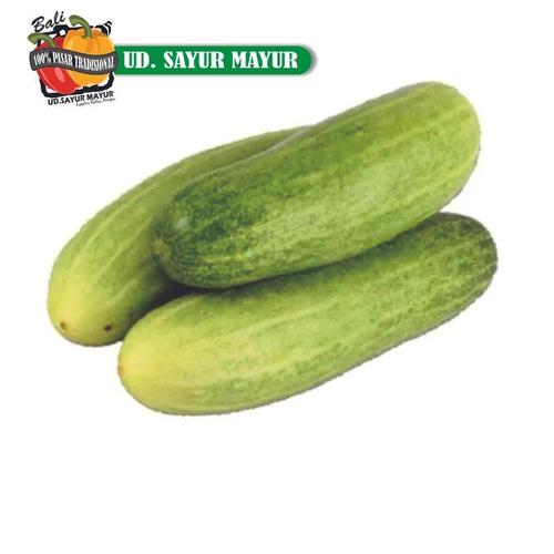 Jual Timun lokal - 250 gram - Kota Denpasar - UD Sayur Mayur Bali ...