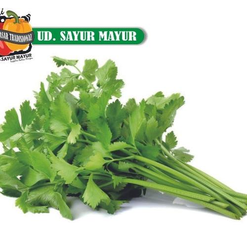 Jual Seledri - 50 gram - Kota Denpasar - UD Sayur Mayur Bali | Tokopedia