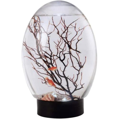 Jual Mini Aquarium Fish Tank Ecosphere Closed Aquatic Ecosystem with ...