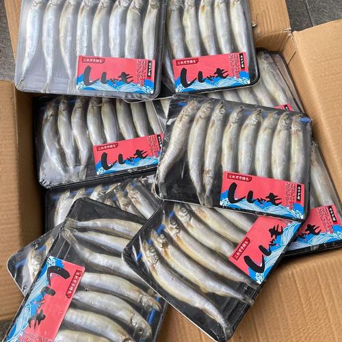 Jual IKAN SHISAMO IKAN CAPELIN 1 TRAY ISI 8 EKOR - Jakarta Barat - LOG ...