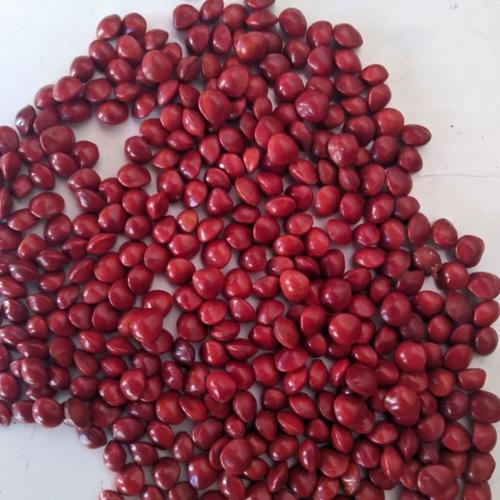 Jual [ READY ] biji saga merah/ saga telik merah 1 kg ORI - Kota Bekasi ...