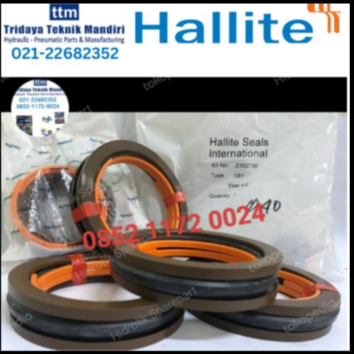 Jual Piston Seal "Hallite" Compact Type 53/81 dia 130*95*22*6,35 mm ...