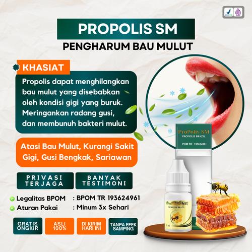Jual Propolis Brazilian 100% Mouthwash Obat Kumur Untuk Bau Mulut dan ...