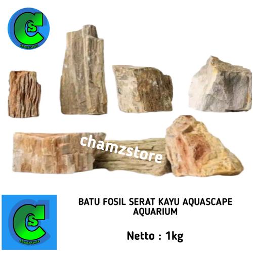 Promo Batu fosil serat kayu aquascape aquarium / batu fosil kayu ...