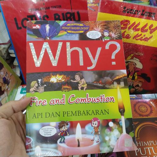 Jual buku why fire and combustion api dan pembakaran original - Jakarta Selatan - BookStoreWM ...