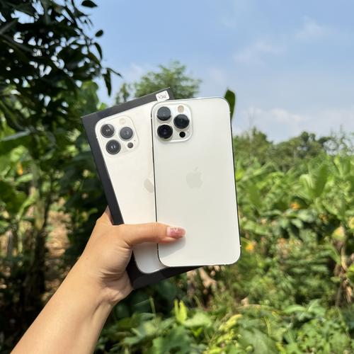 Jual Iphone 13 Promax 128GB iBox second warna Putih / Silver - Kota ...