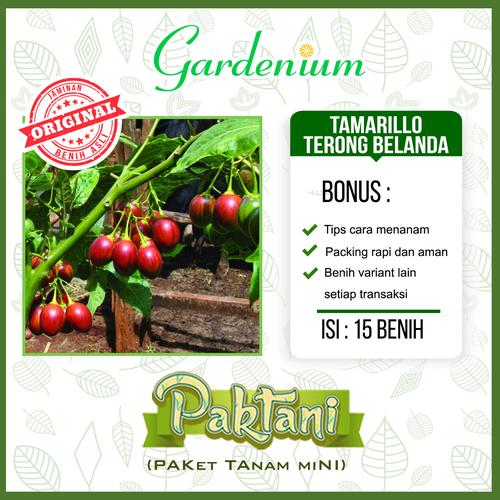 Jual 15 Benih Tamarillo Terong Belanda Unggul Paktani - Kota Bogor - Gardenium | Tokopedia