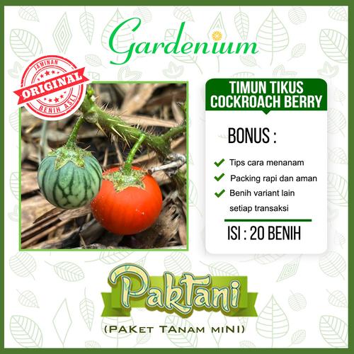 Promo 20 Benih Terong Pari Terong Duri Hutan Cockroach Berry Paktani ...