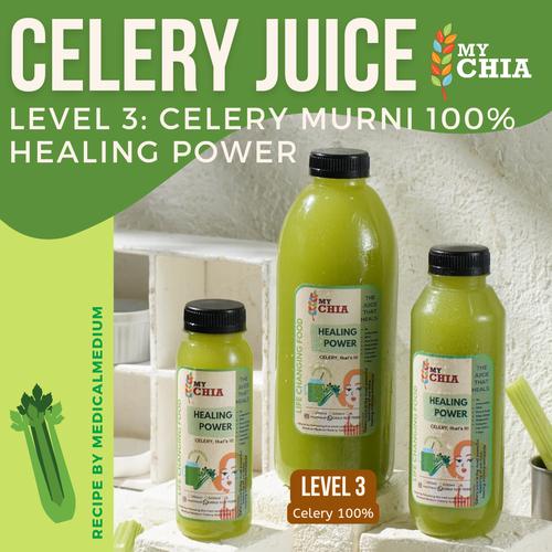 Jual Level 3: Celery Juice (jus seledri) 500ml 100% Raw Pure Cold Pressed - celery cucumber ...