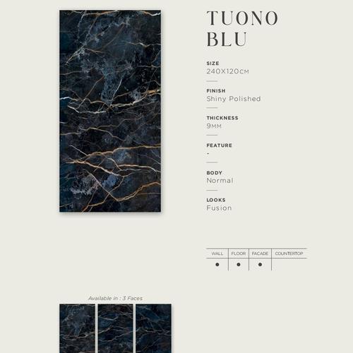 Jual GRANIT BIGSLAB MERK QUADRA UK 240X120CM TIPE TUONO BLUE UNTUK ...
