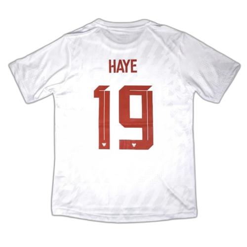 Jual Thom Haye #19 Timnas Indonesia Football Team Away Jersey 2024 ...