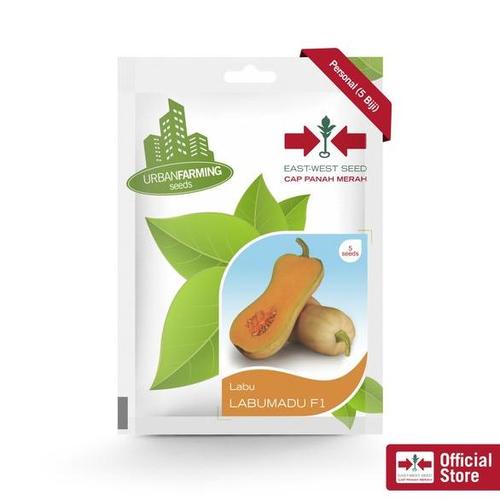 Jual [READY] Benih Butternut LABU MADU F1 Cap Panah Merah 5 Biji ...