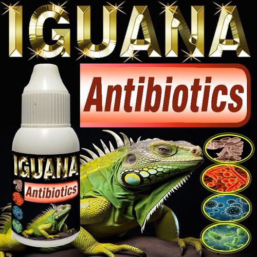 Promo IGUANA ANTIBIOTICS OBAT SUPLEMEN KESEHATAN REPTILE MENGOBATI PENYAKIT PENCERNAAN DAN ...