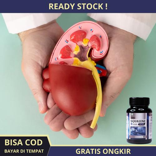 Jual Obat Gagal Ginjal, Obat Batu Ginjal Batu Empedu, Obat Ginjal ...