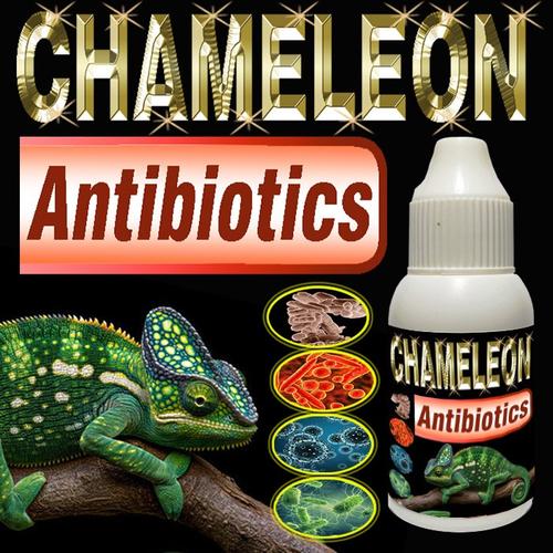 Promo CHAMELEON ANTIBIOTICS OBAT ANTIVIRUS MULTIVITAMIN REPTILE ...