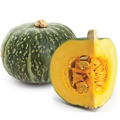 Jual 2 Labu Waluh Kabocha Japanese Pumpkin Winter Green Buttercup ...