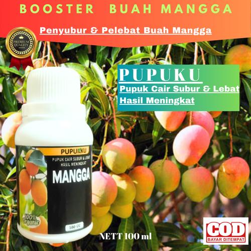Jual Pupuk Mangga Biar Cepat Berbuah Lebat Pupuk Penyubur Pohon Mangga Booster Pelebat Buah ...