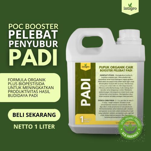 Promo Pupuk Untuk Tanaman Padi Organik Cair Untuk Memperbanyak Anakan Penambah Bobot Padi Hormon ...