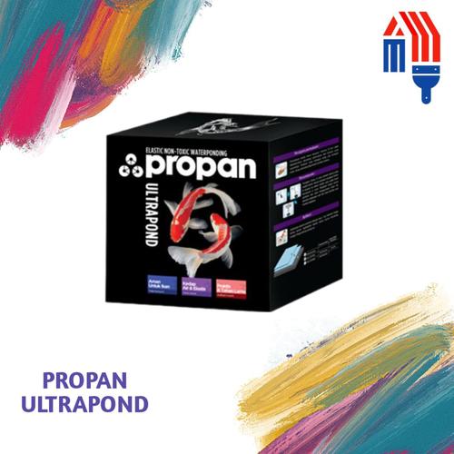 Jual Propan ultrapond 2.5 KG Cat Untuk Kolam - Hitam - Jakarta Barat ...