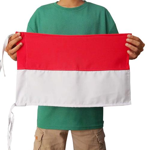 Jual Bendera Merah Putih 30 x 45 Murah - Kota Tangerang Selatan - MC ...