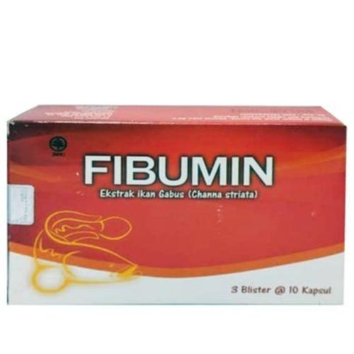 Jual FIBUMIN EKSTRAK IKAN GABUS 1 BOX ISI 30 CAPSUL - Jakarta Utara ...