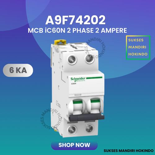 Promo MCB 2p 2a 2 Phase 2 Ampere Original SNI Schneider IC60N 2 Pas 2 Amper - Jakarta Pusat ...
